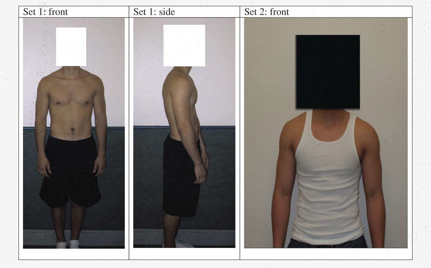 The ideal male body shape: is it possible to be too muscular?